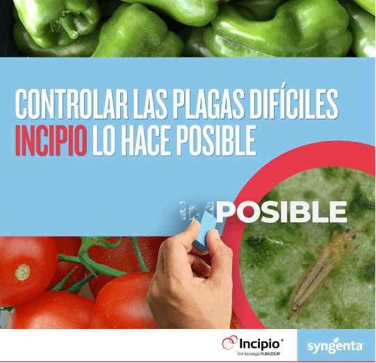 Incipio | Syngenta